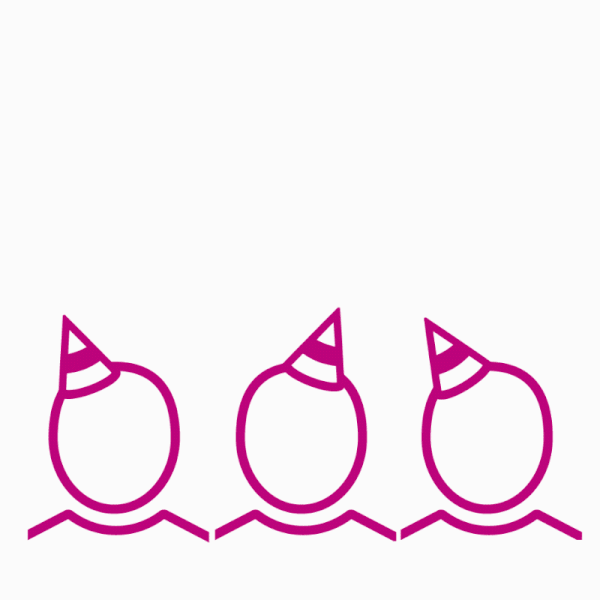 News and updates | BSG